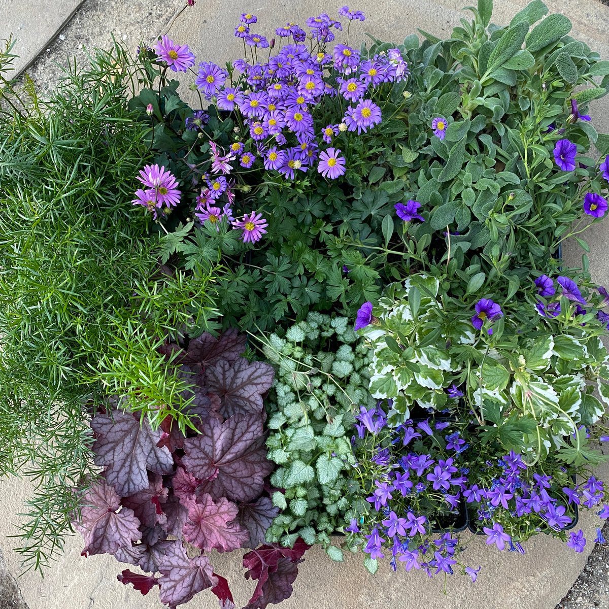 Floral Collections – Planted Places